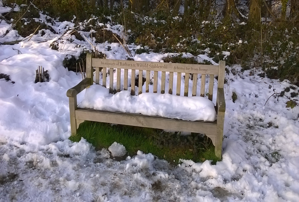 bench | Passing Time